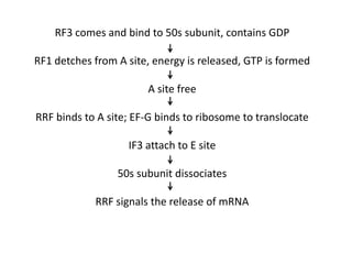 Translation in prokaryotes and eukaryotes | PPTX