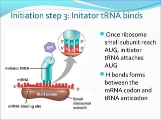 Translation lgis | PPT
