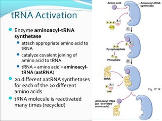 Translation lgis | PPT