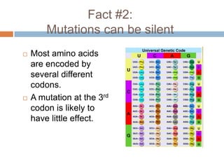 Translation mutation ppt | PPTX