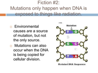 Translation mutation ppt | PPTX