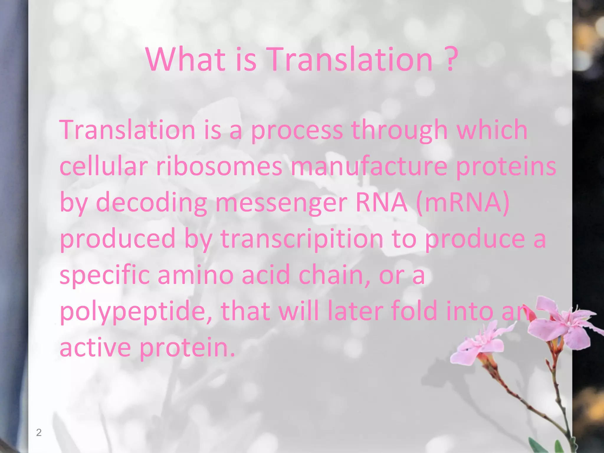 Translation of dna | PPT