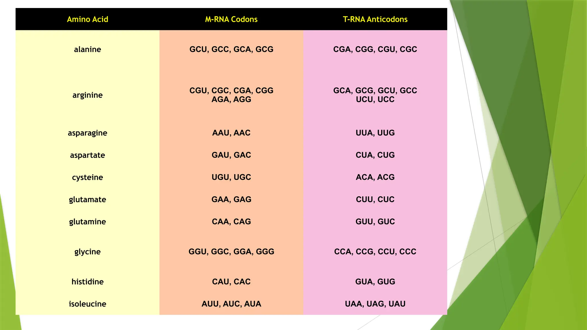 Translation of Protein Grade 10 Lecture.pptx
