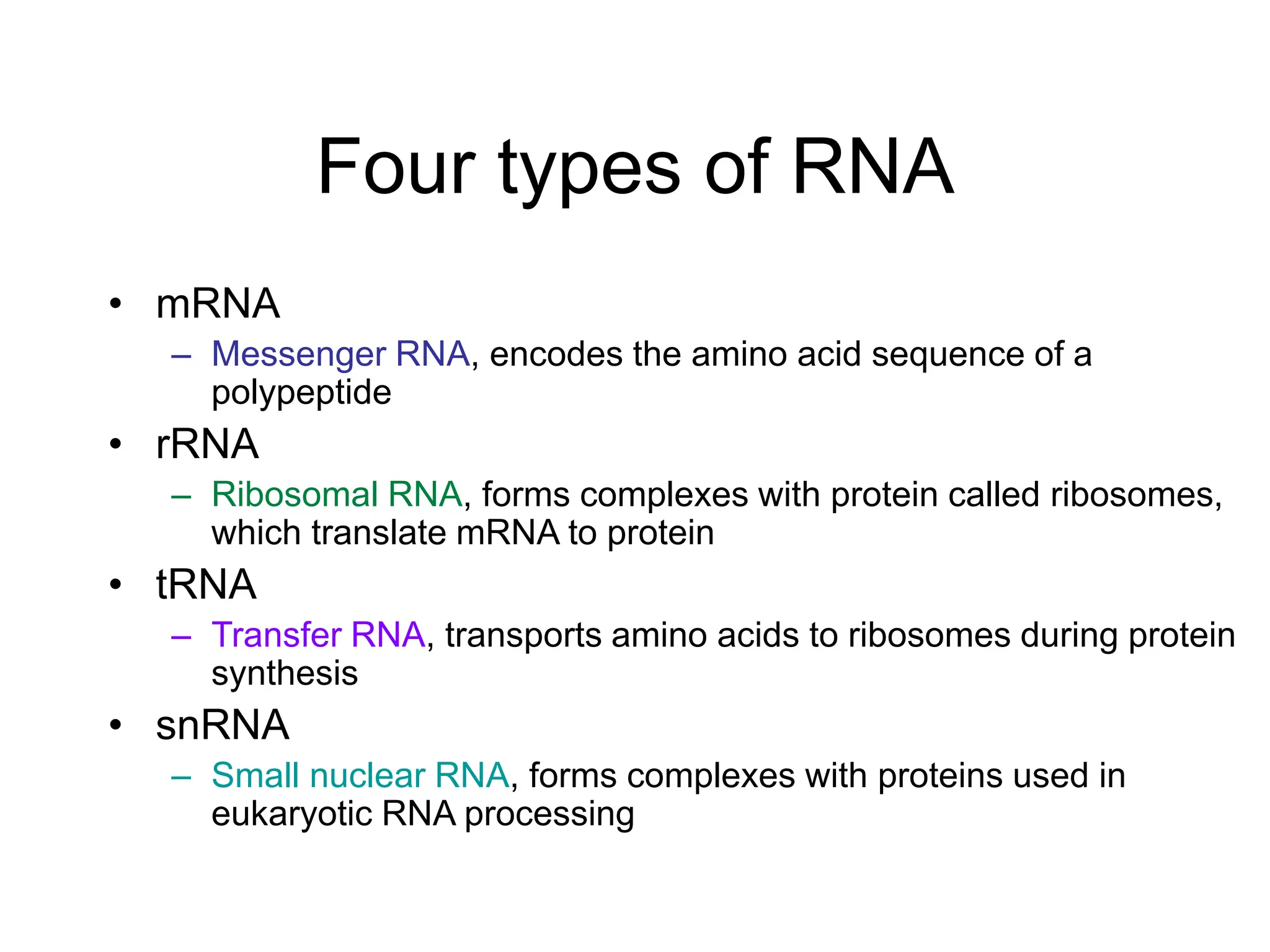 Translation of Proteins.ppt