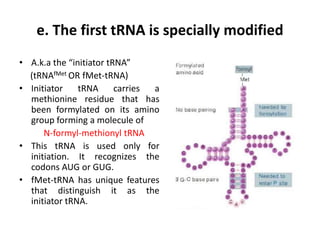 Translation part 1 | PPT