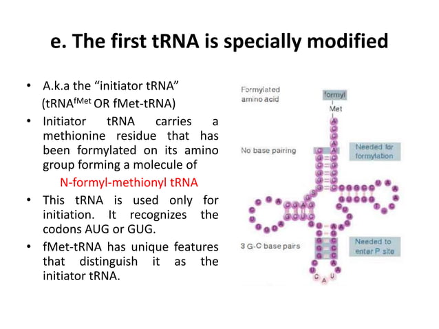 Translation part 1 | PPT