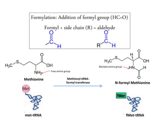 Translation part 1 | PPT