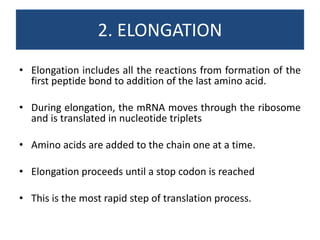 Translation part 2 | PPTX