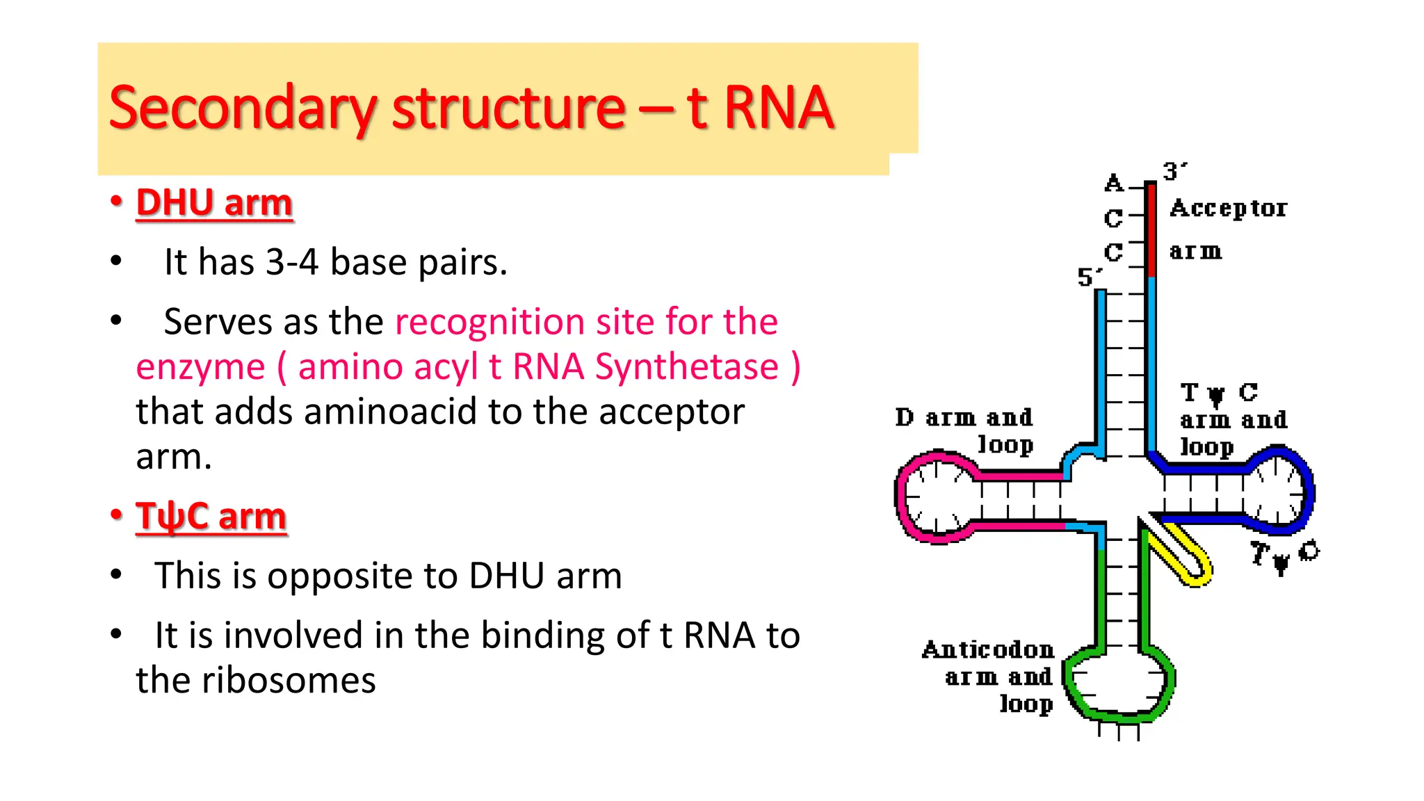 TRANSLATION & POST TRANSLATION MODIFICATIONS.pptx
