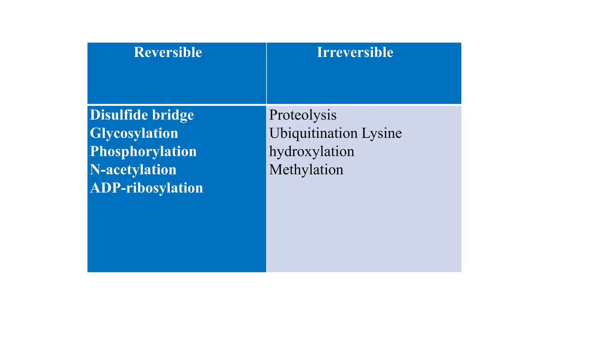 TRANSLATION & POST TRANSLATION MODIFICATIONS.pptx