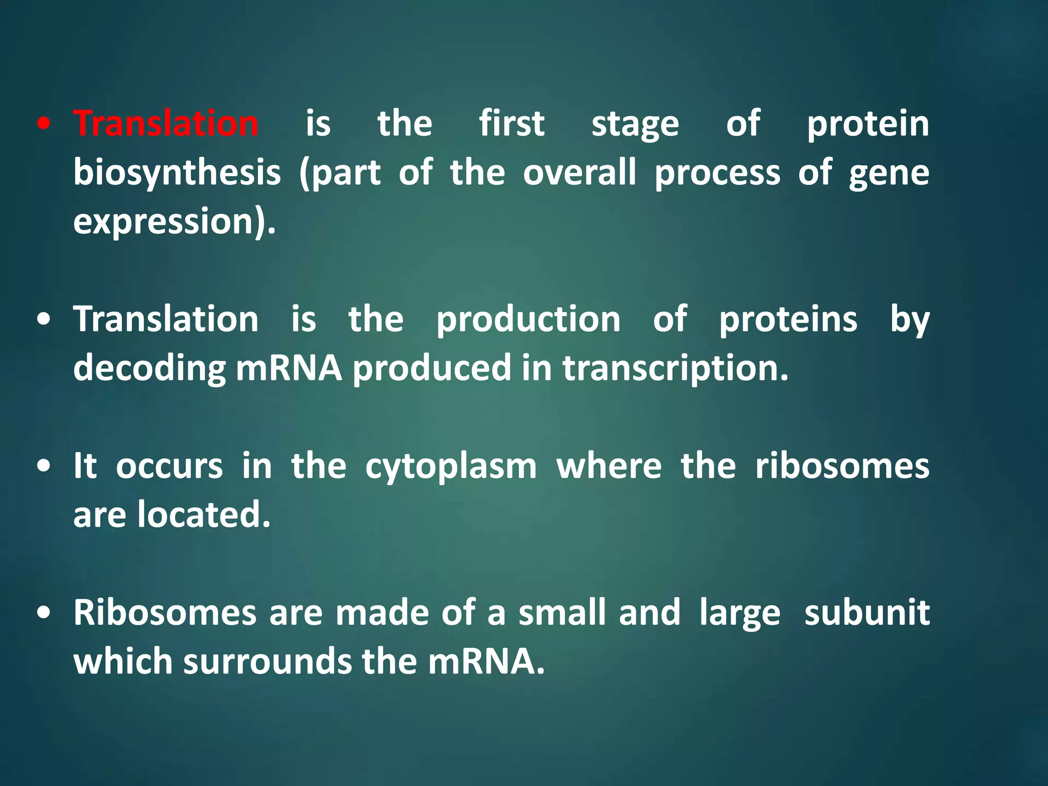 translation process.pptx