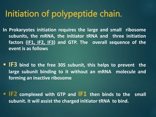 translation process.pptx