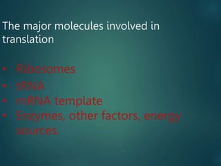 translation process.pptx