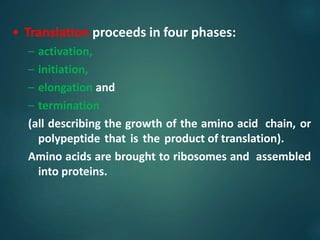 translation process.pptx