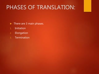 Translation (protein formation) | PPTX | Programming Languages | Computing