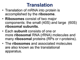 TRANSLATION (Protein synthesis) presentation.pdf