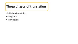 Translation (protein synthesis) presentation | PPTX | Programming ...