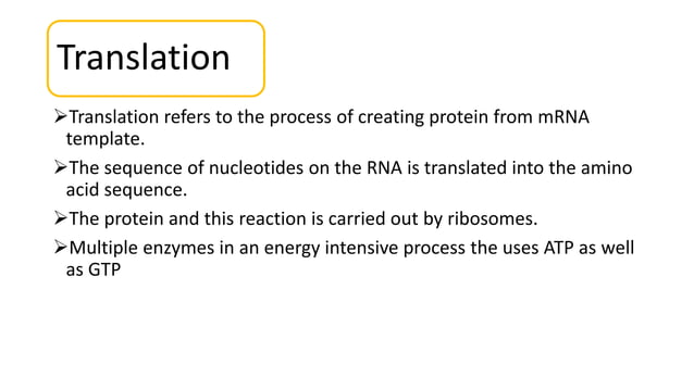 Translation (protein synthesis) presentation | PPTX | Programming Languages | Computing