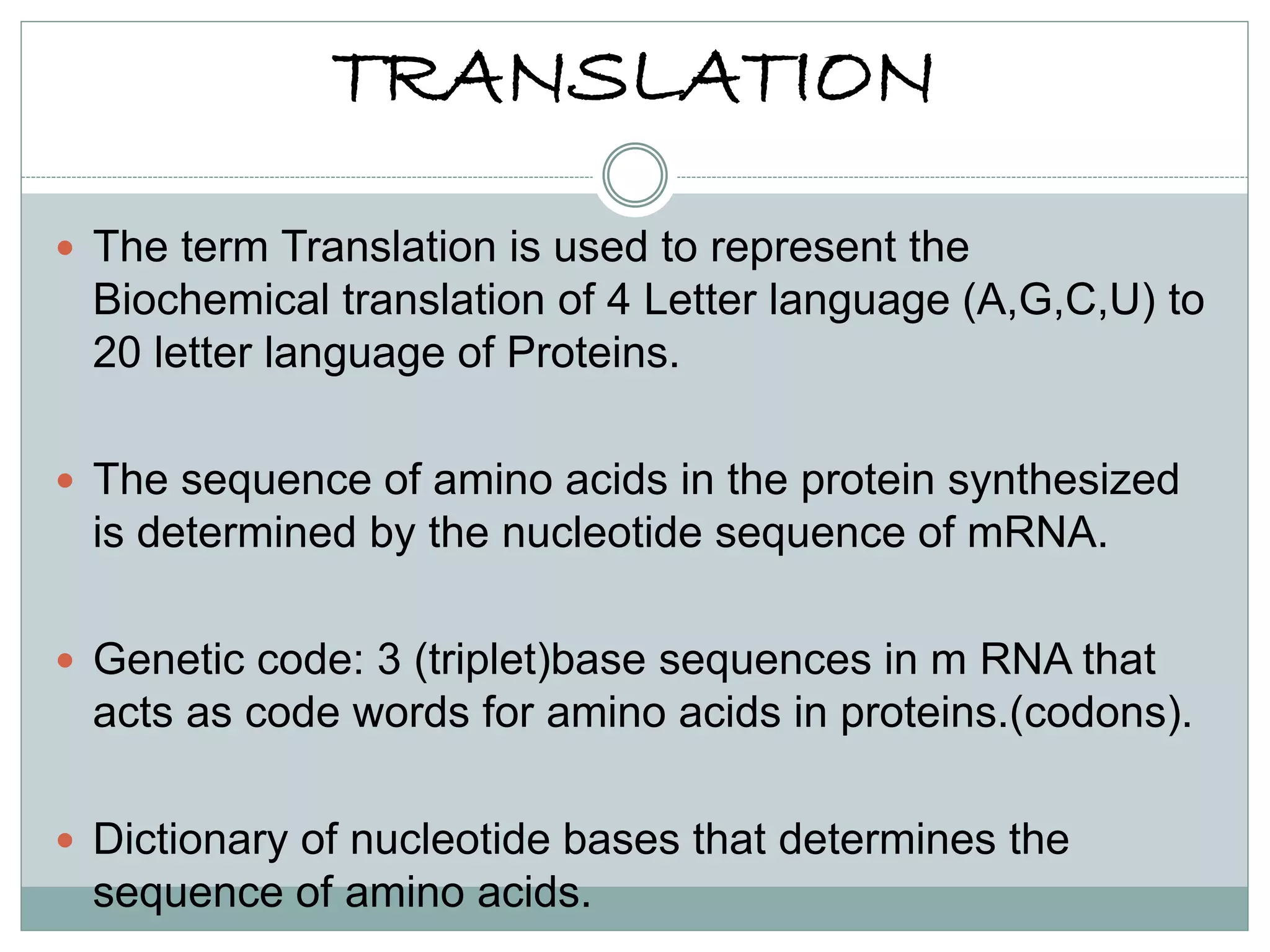 Translation (genetics) | PPTX | Programming Languages | Computing