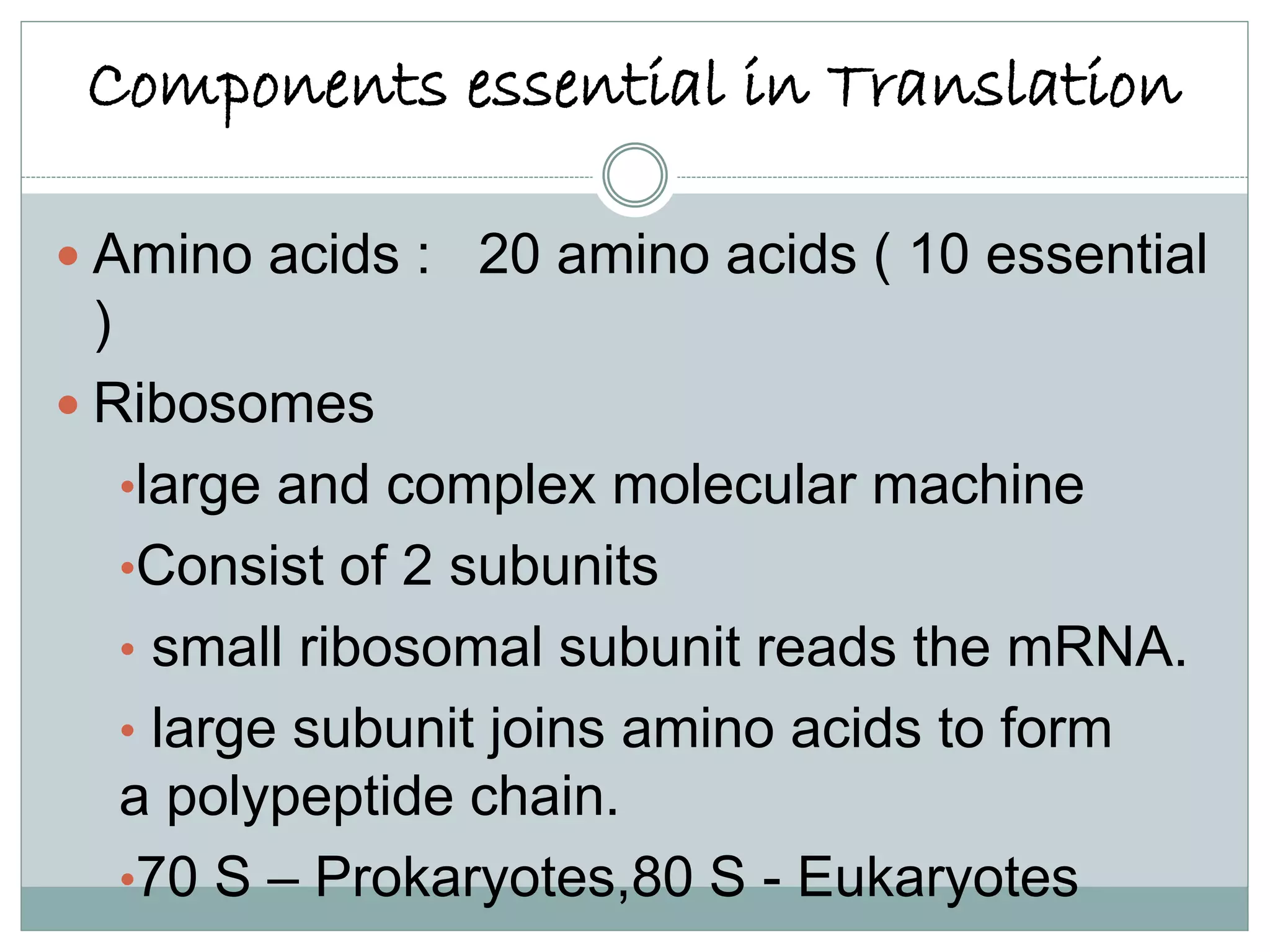 Translation (genetics) | PPTX | Programming Languages | Computing