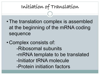 Translation (genetics) | PPTX | Programming Languages | Computing