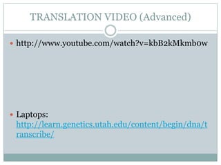 Translation slides | PPTX