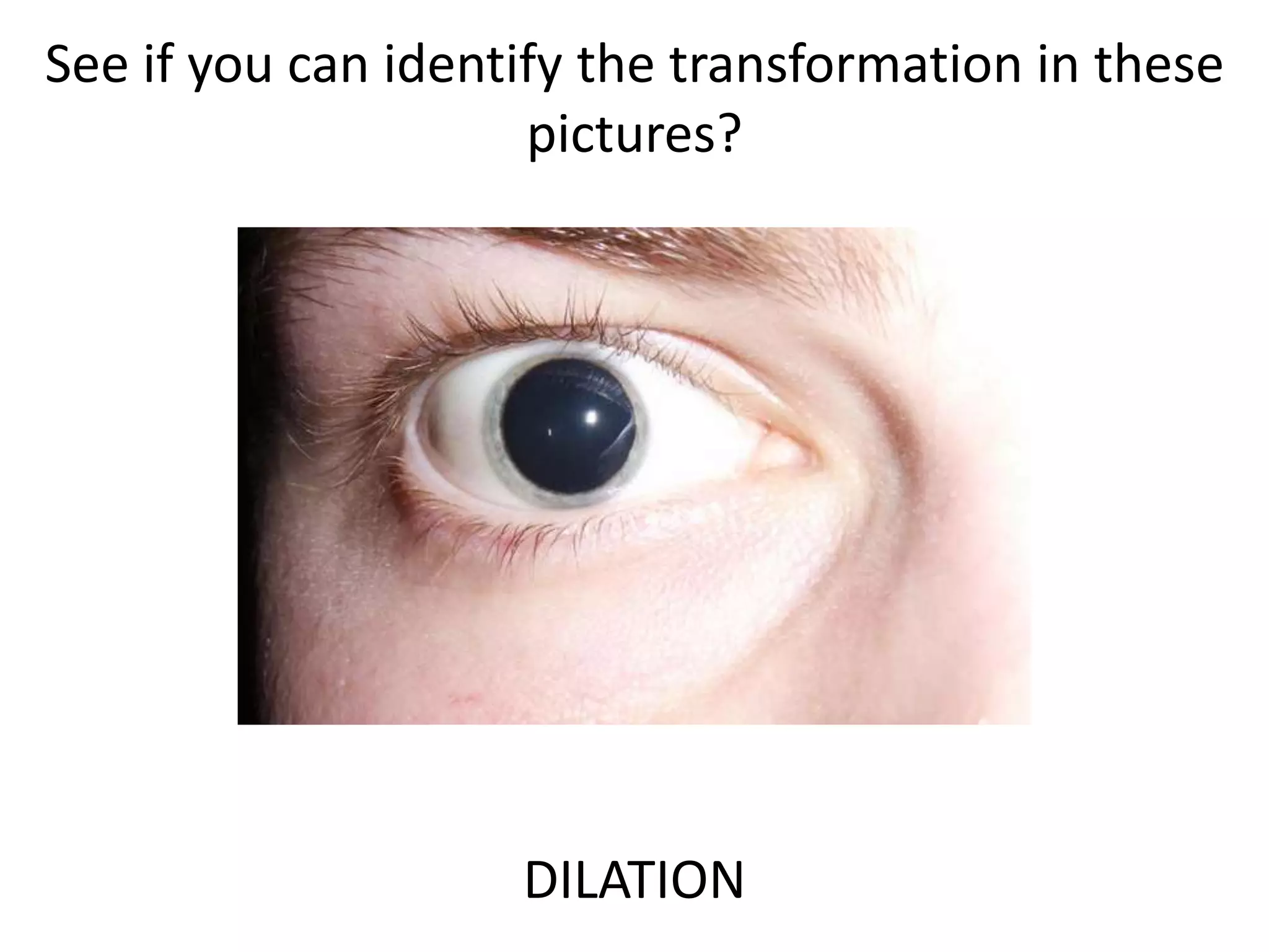 Translations, rotations, reflections, and dilations | PPTX