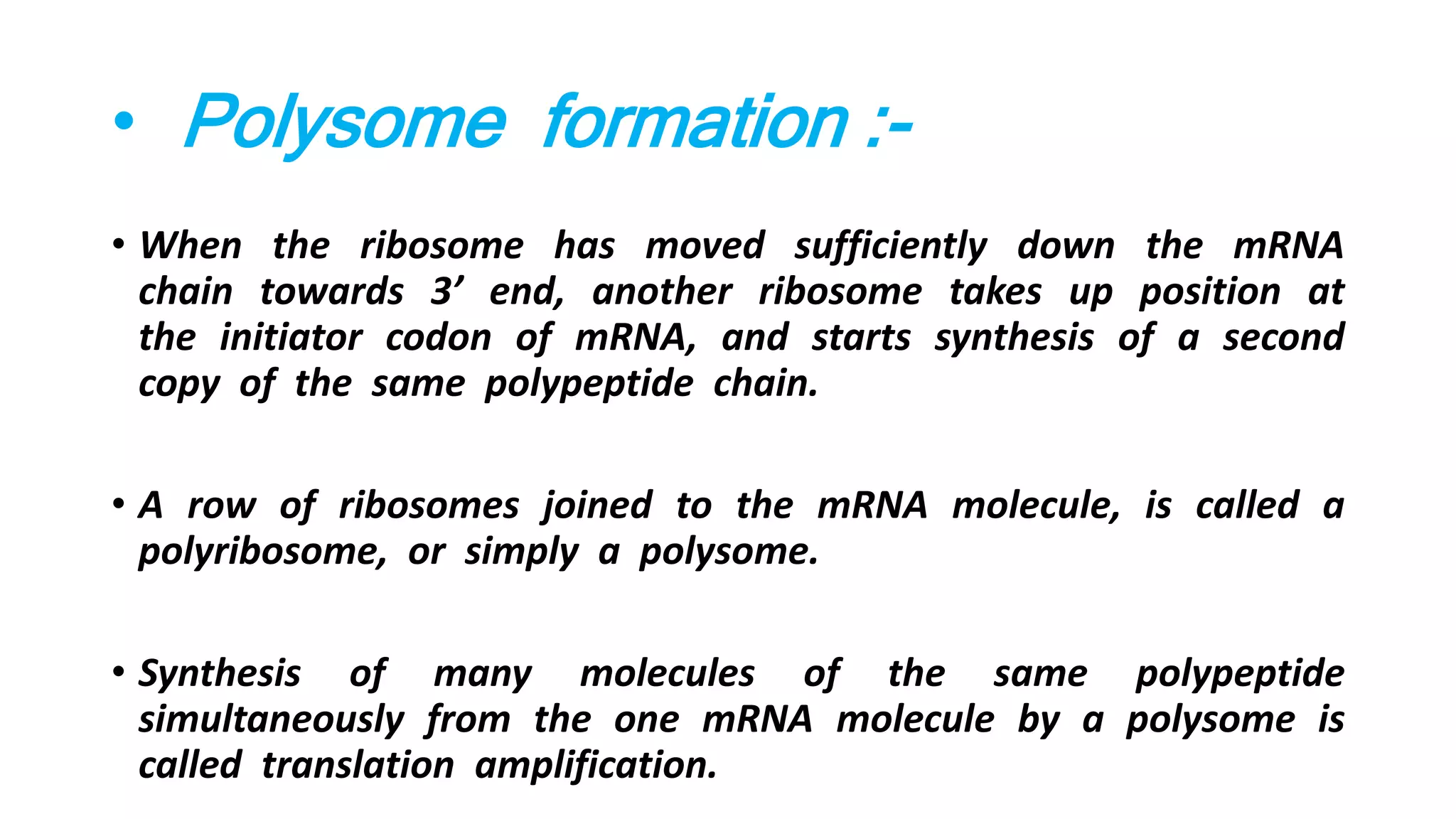 Translation ( synthesis of proteins ) | PPTX