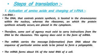 Translation ( synthesis of proteins ) | PPTX
