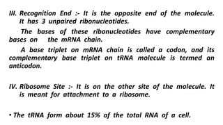 Translation ( synthesis of proteins ) | PPTX