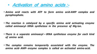 Translation ( synthesis of proteins ) | PPTX