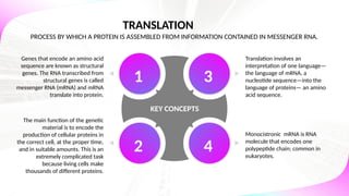 TRANSLATON: CODONS, ANTICODONS, STRUCTURE OF RNA AND RIBOSOME, STAGES ...