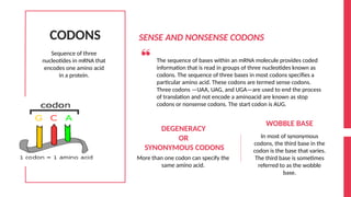 TRANSLATON: CODONS, ANTICODONS, STRUCTURE OF RNA AND RIBOSOME, STAGES ...