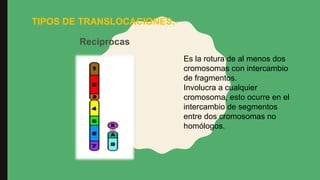Translocación.pptx
