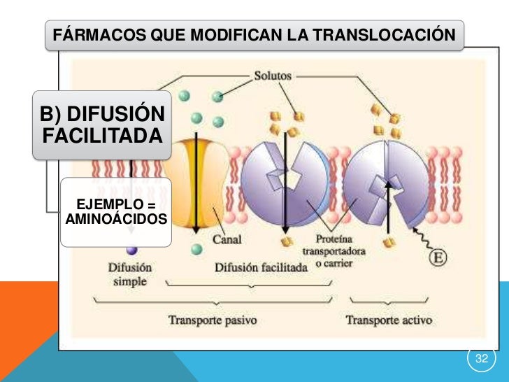 Translocación de los fármacos