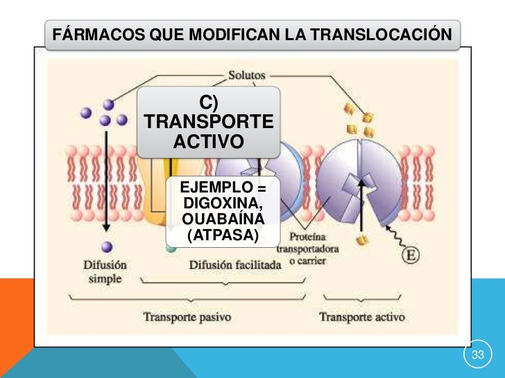 Translocación de los fármacos