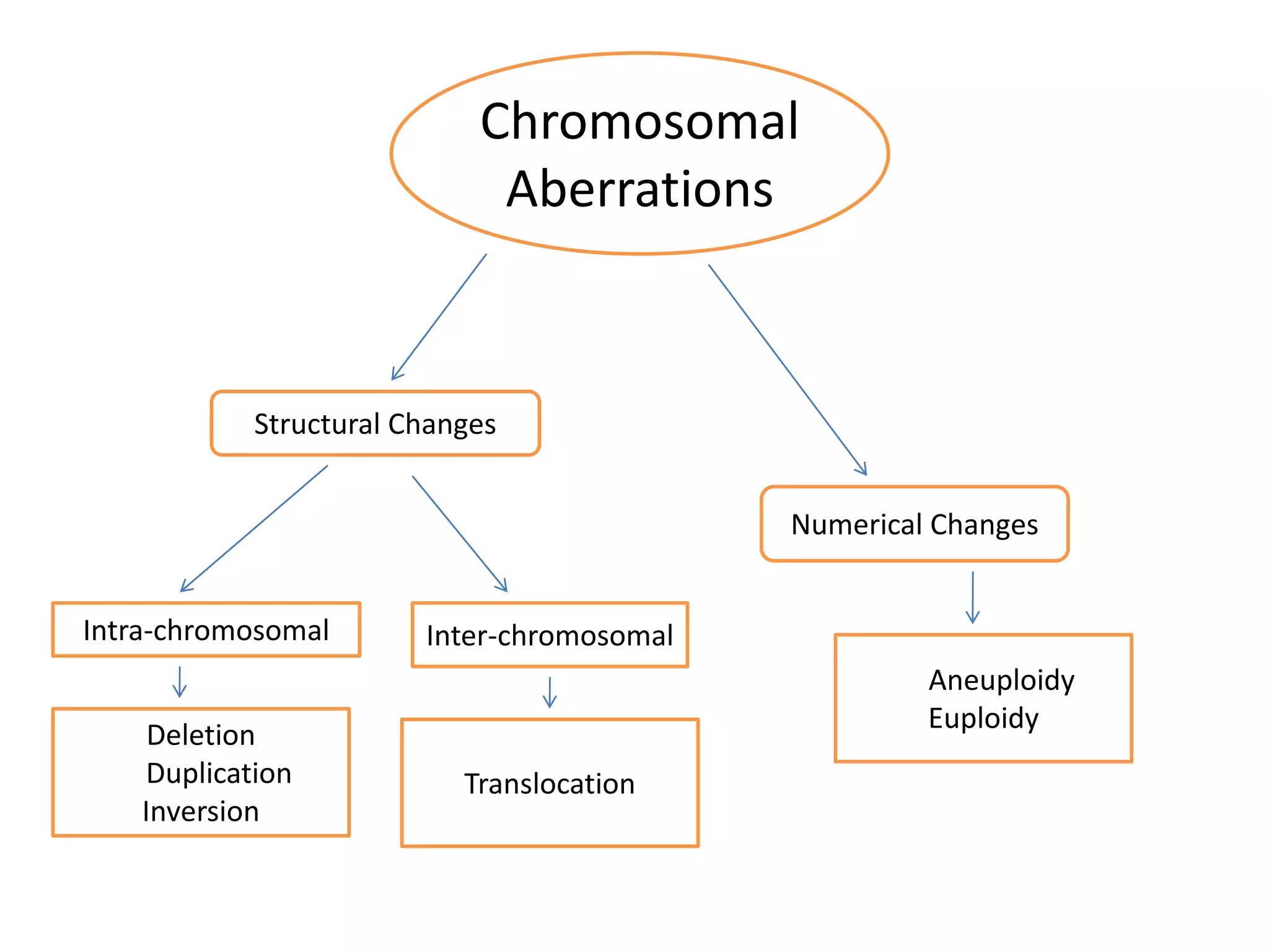 Translocation | PPTX