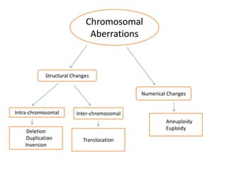 Translocation | PPTX