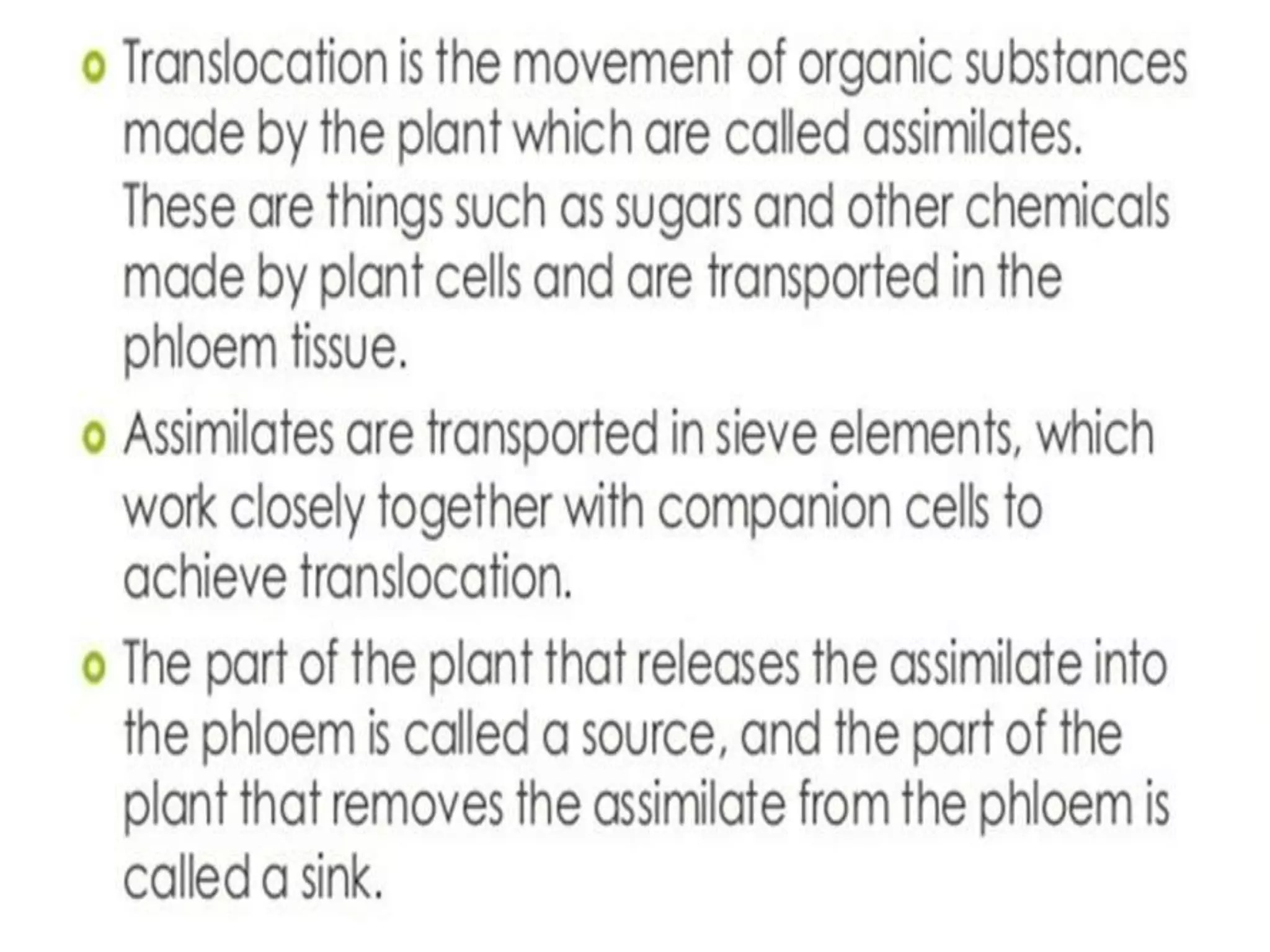 Translocation in Phloem.pptx