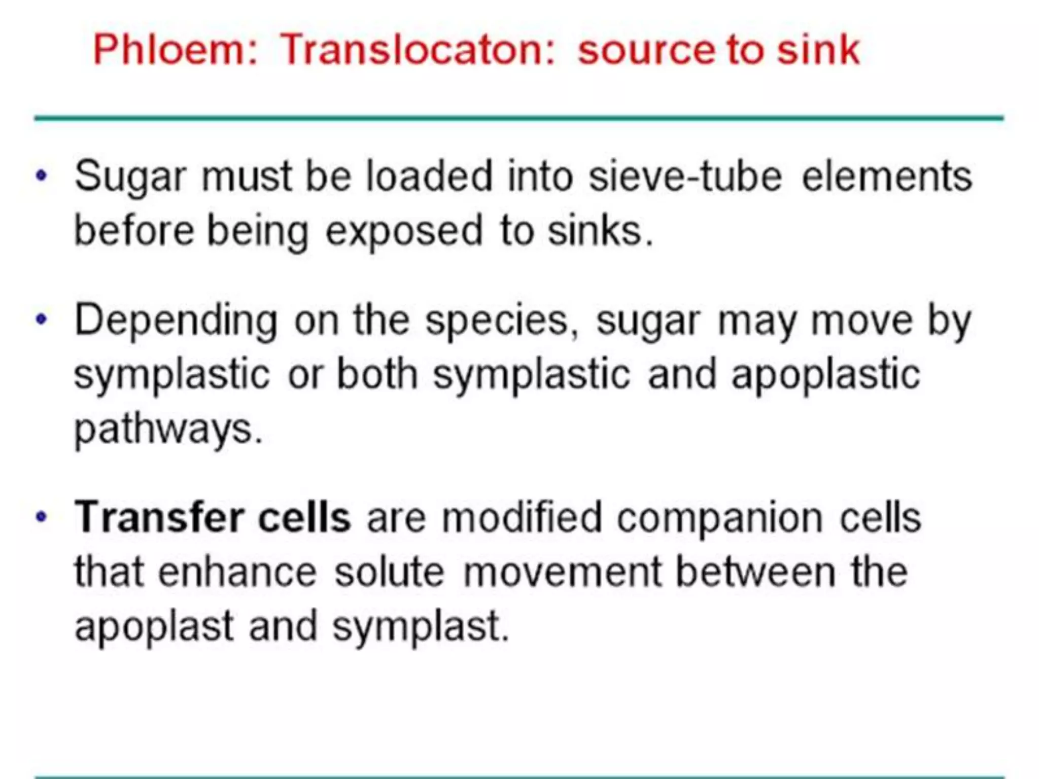 Translocation in Phloem.pptx