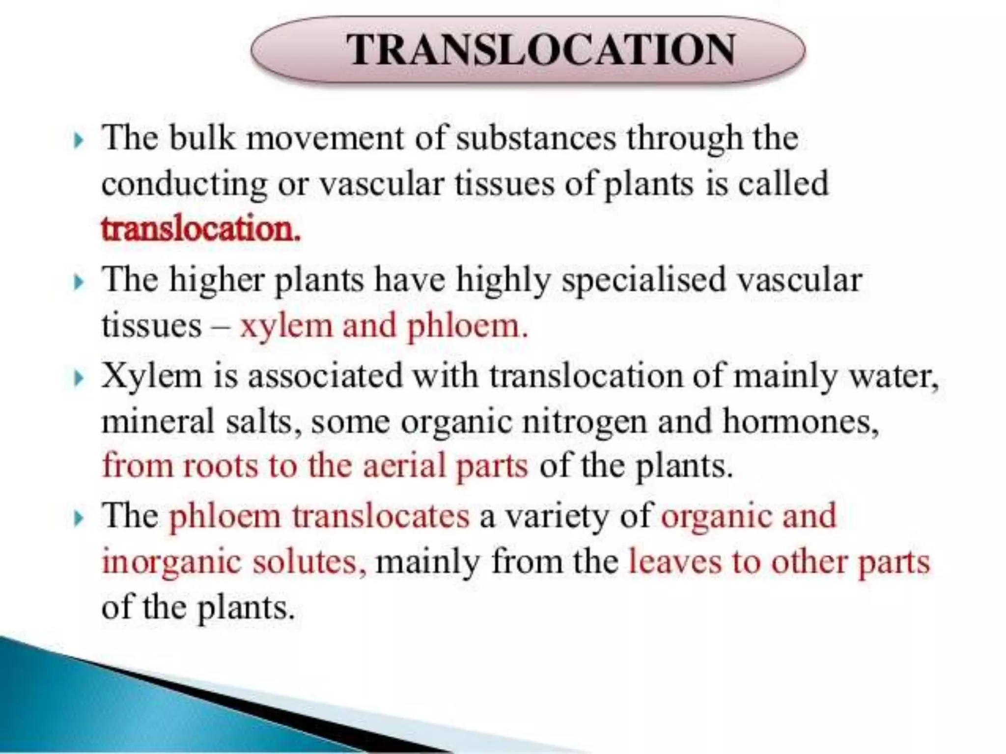 Translocation in Phloem.pptx
