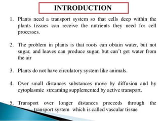 Translocation in Phloem.pptx