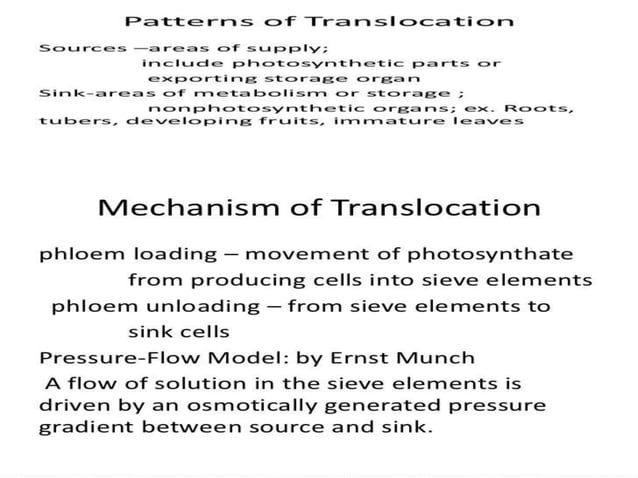 Translocation in Phloem.pptx