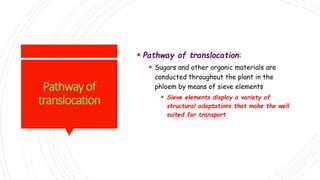 Translocation of food in plants | PPTX
