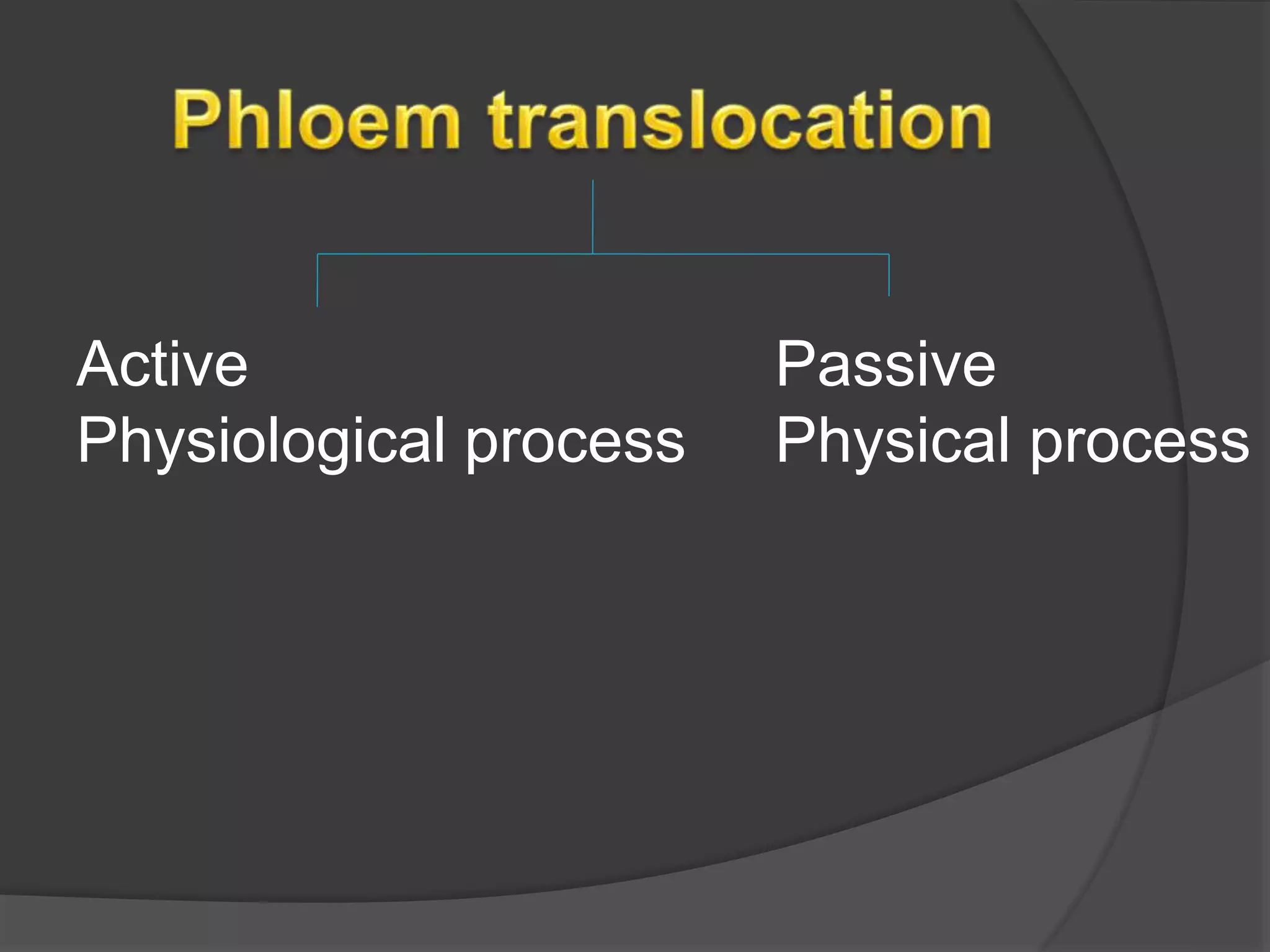 Translocation of Solutes and Mass flow hypothesis | PPTX