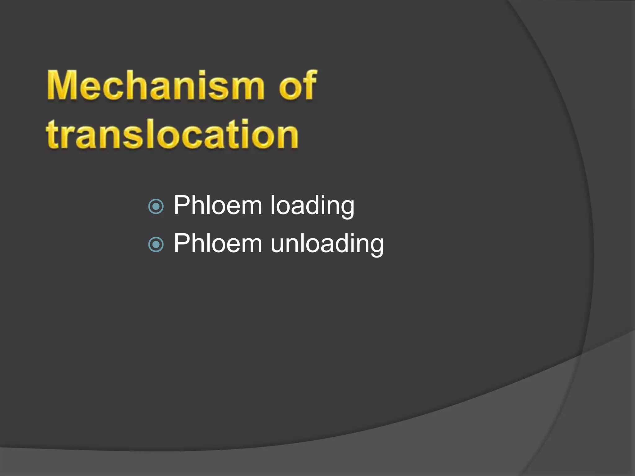 Translocation of Solutes and Mass flow hypothesis | PPTX