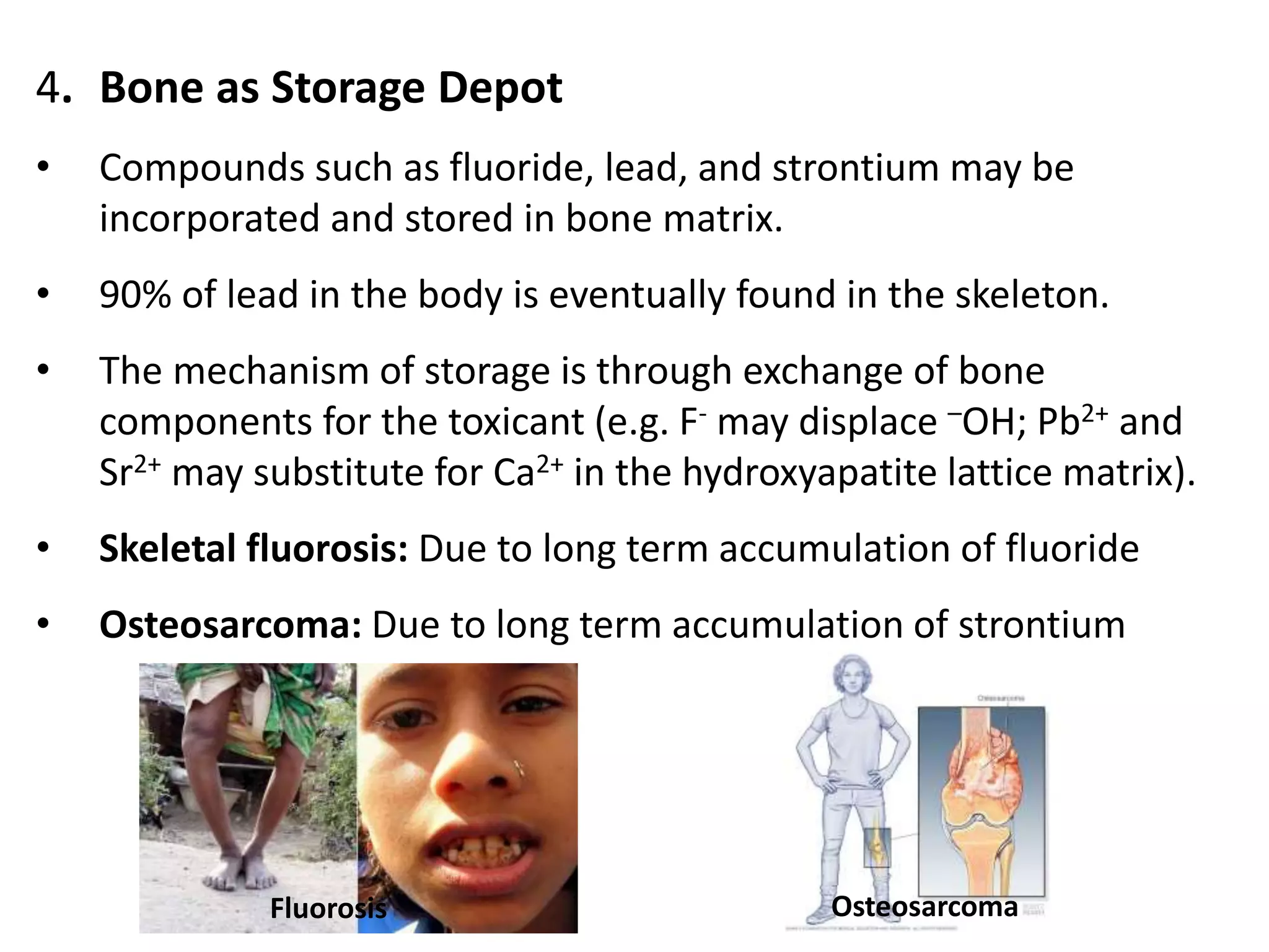 Translocation of toxicants | PPTX