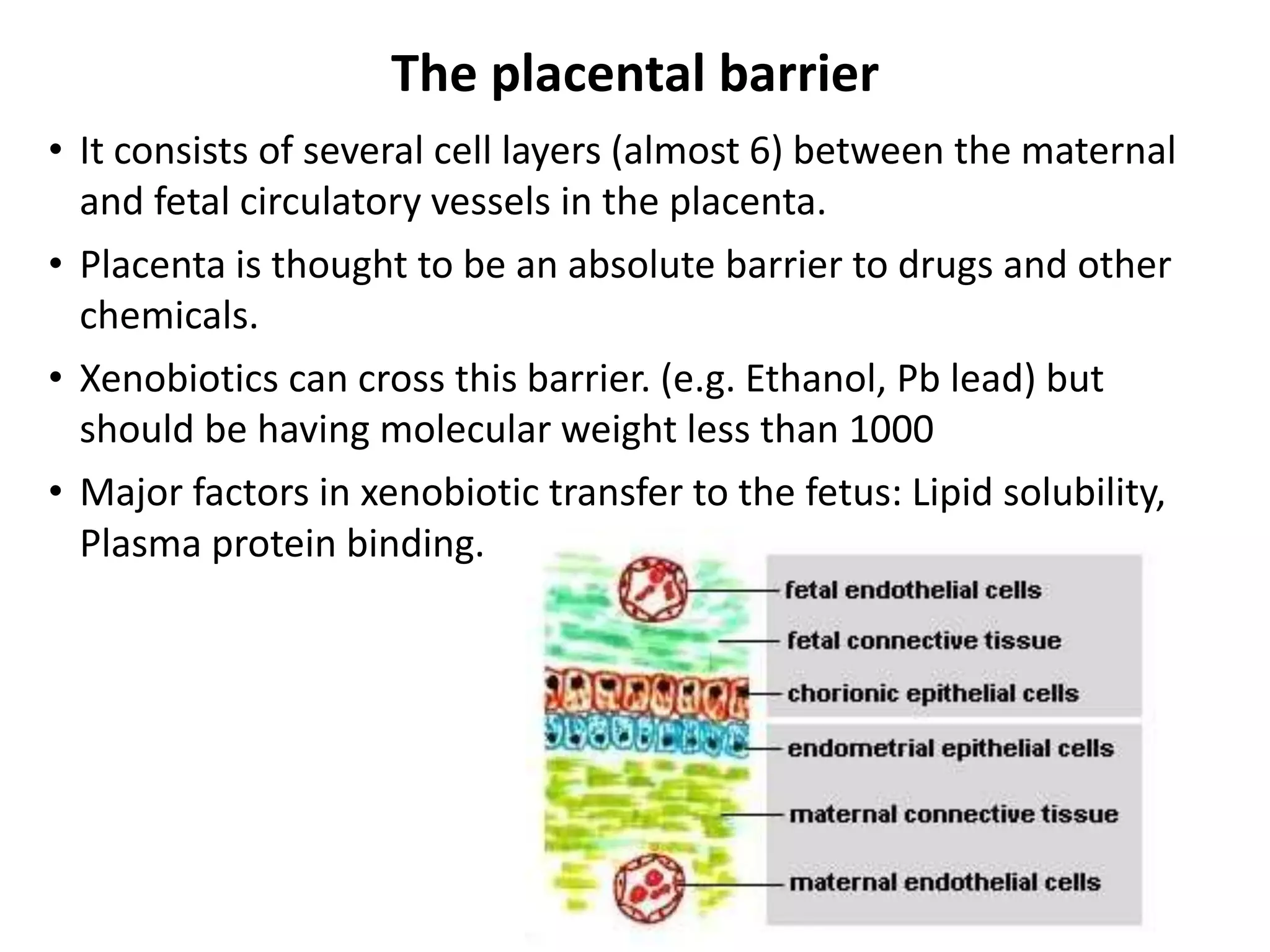 Translocation of toxicants | PPTX