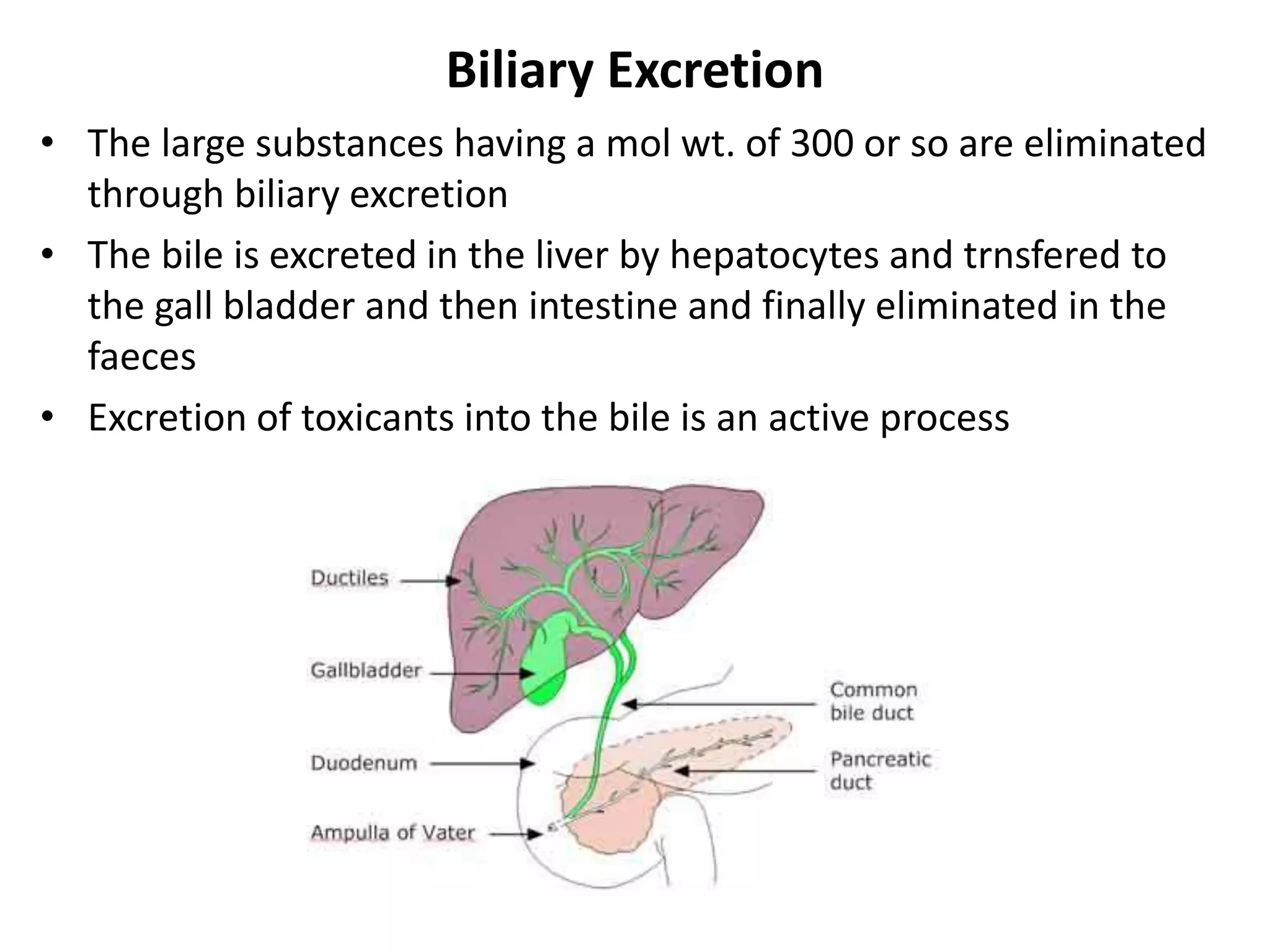 Translocation of toxicants | PPTX