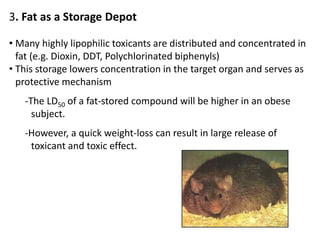 Translocation of toxicants | PPTX